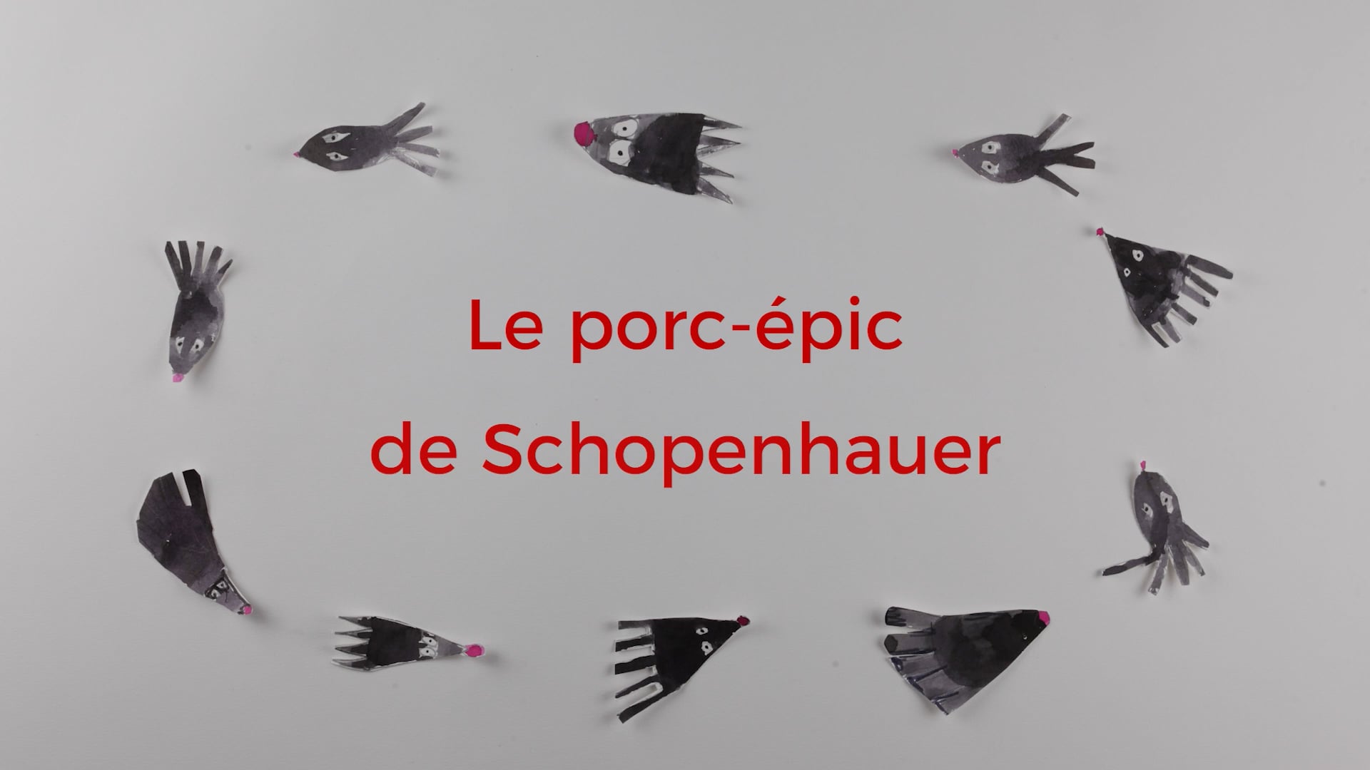 LE PORC EPIC DE SCHOPENHAUER on Vimeo