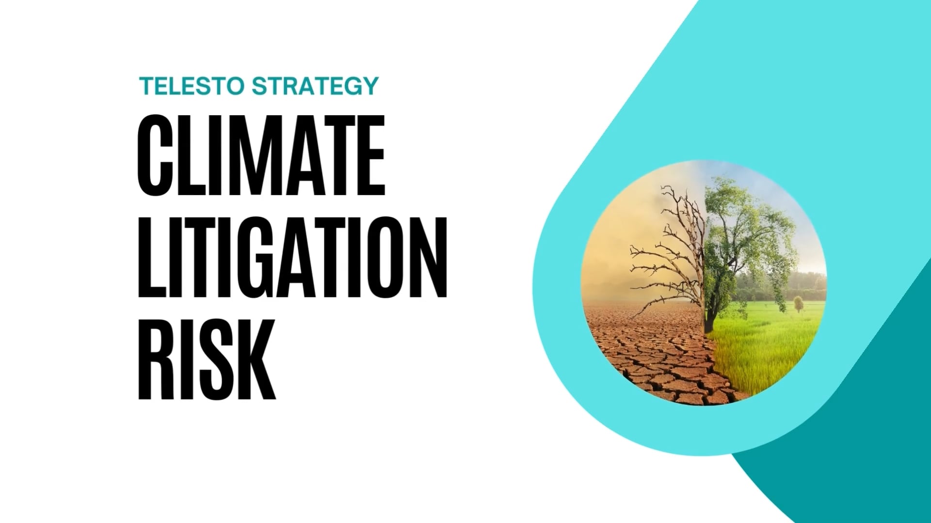 Climate Litigation Risk on Vimeo