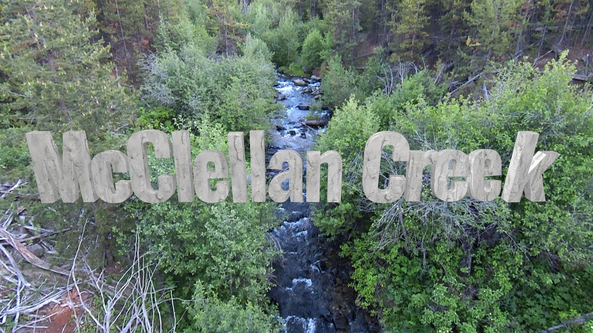 The Magical McClellan Creek on Vimeo