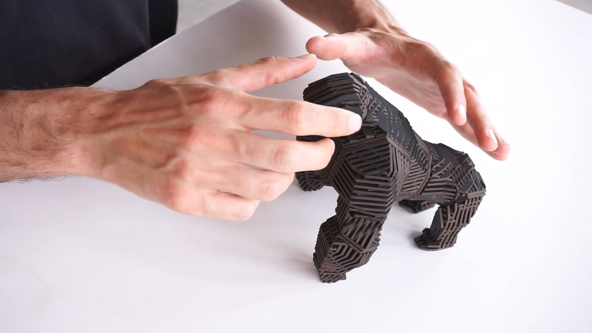 THE SIMIAN - SWITCHING POSES on Vimeo