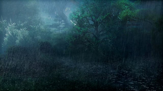 Tiempo Lluvia Bosque - Free video on Pixabay - Pixabay