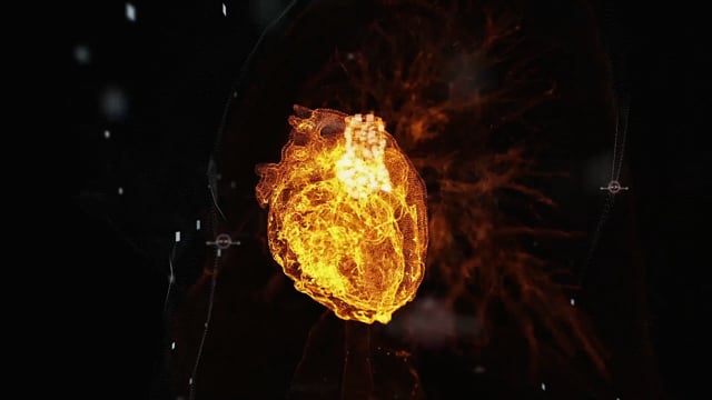 100+ Free Anatomy & Human Videos, HD & 4K Clips - Pixabay