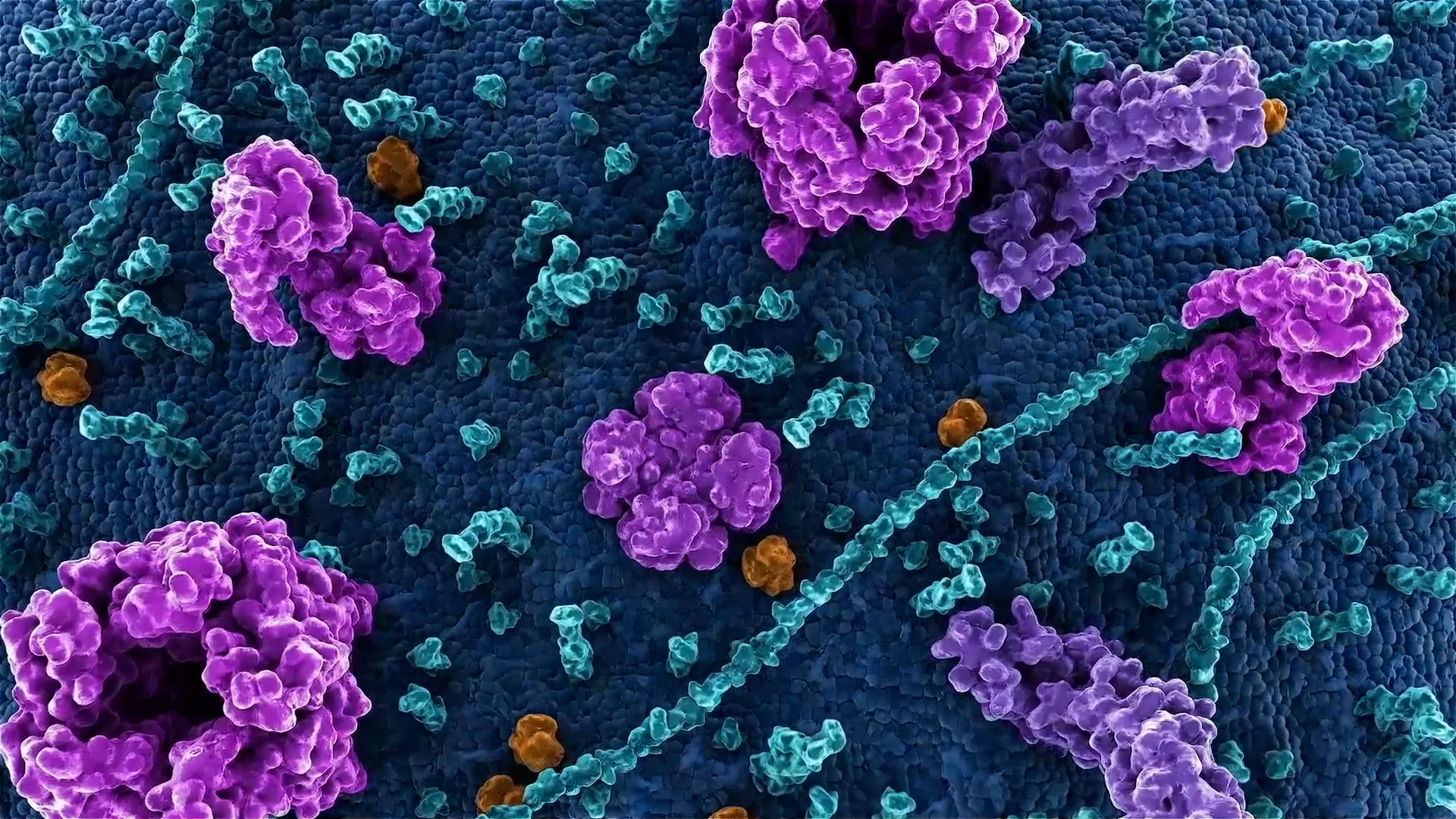 AI Will Revolutionize Medicine