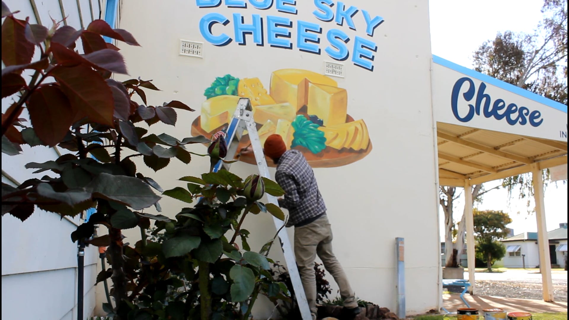 Painting Cheese - Solid Signs - Blue Sky Cheese Mendooran.wmv on Vimeo