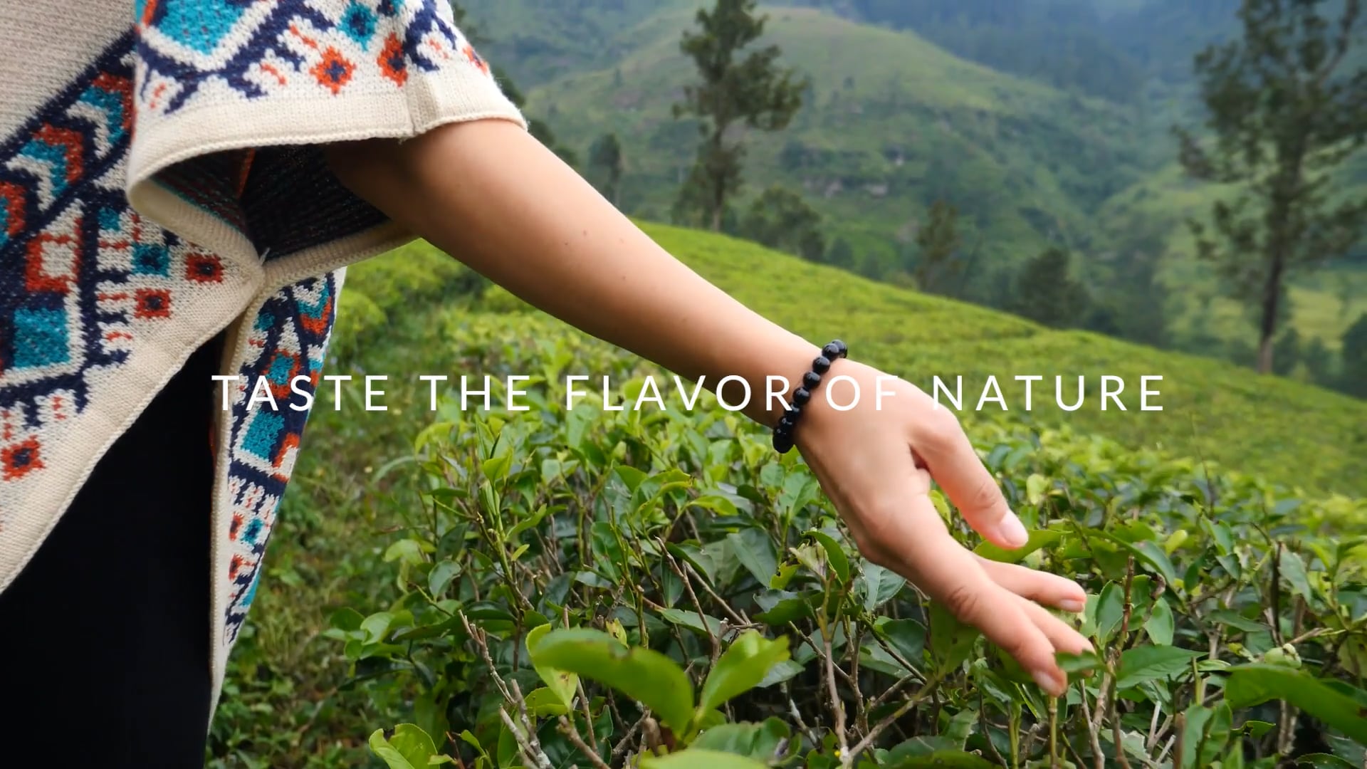 Sequenz 01_1.mp4 on Vimeo