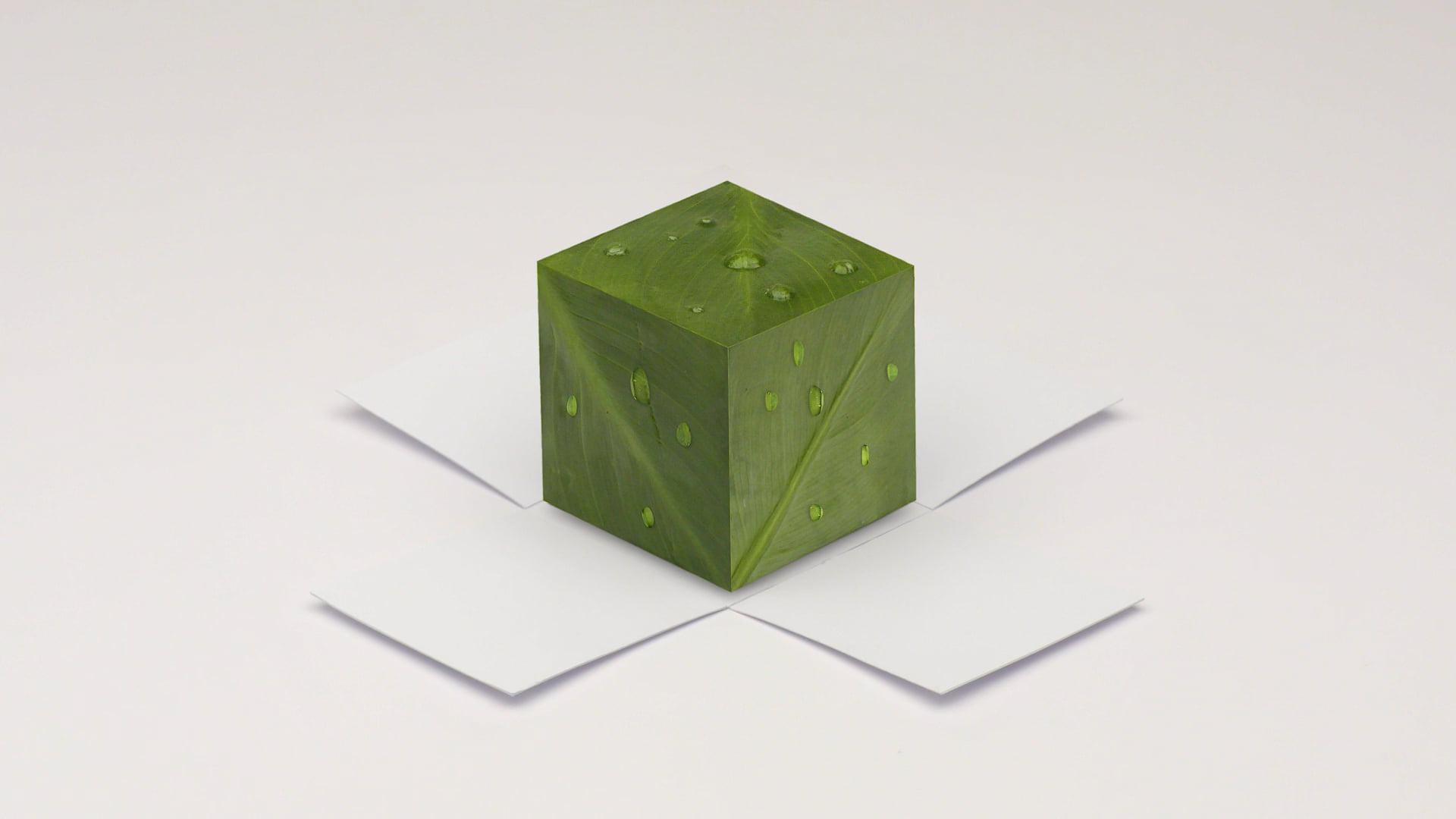 Rudolf — Bio-Logic on Vimeo