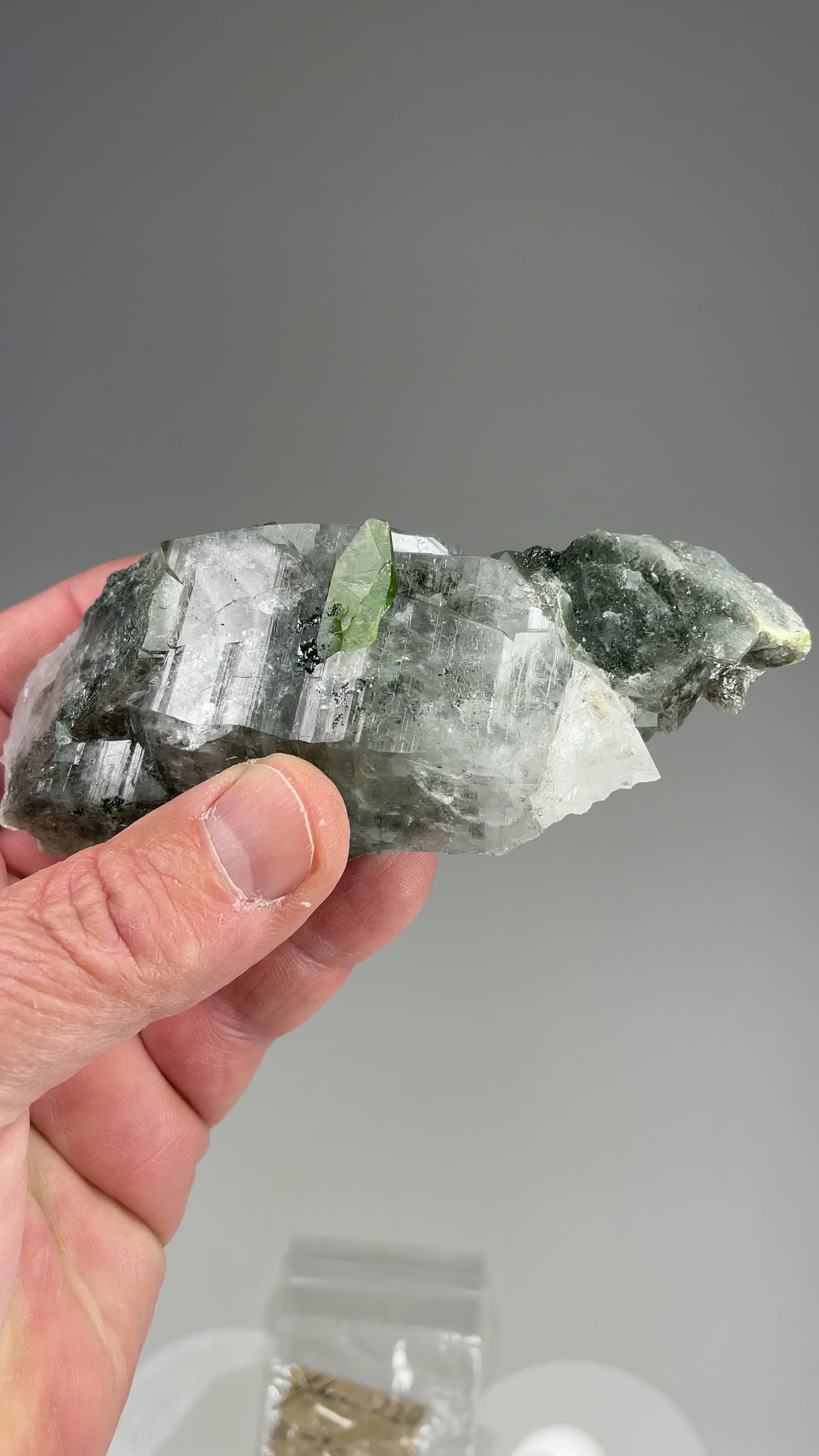 IMG_E4884.MOV on Vimeo