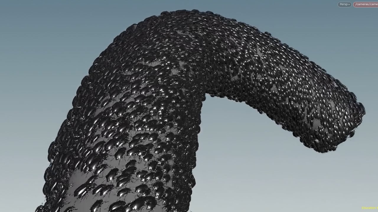Houdini insect wip on Vimeo
