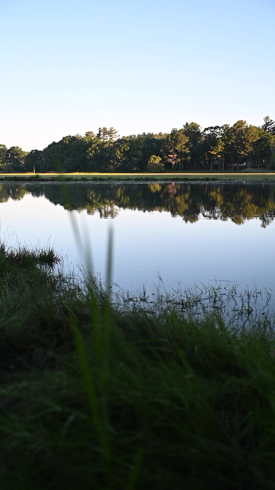 2 - Vertical 1 on Vimeo