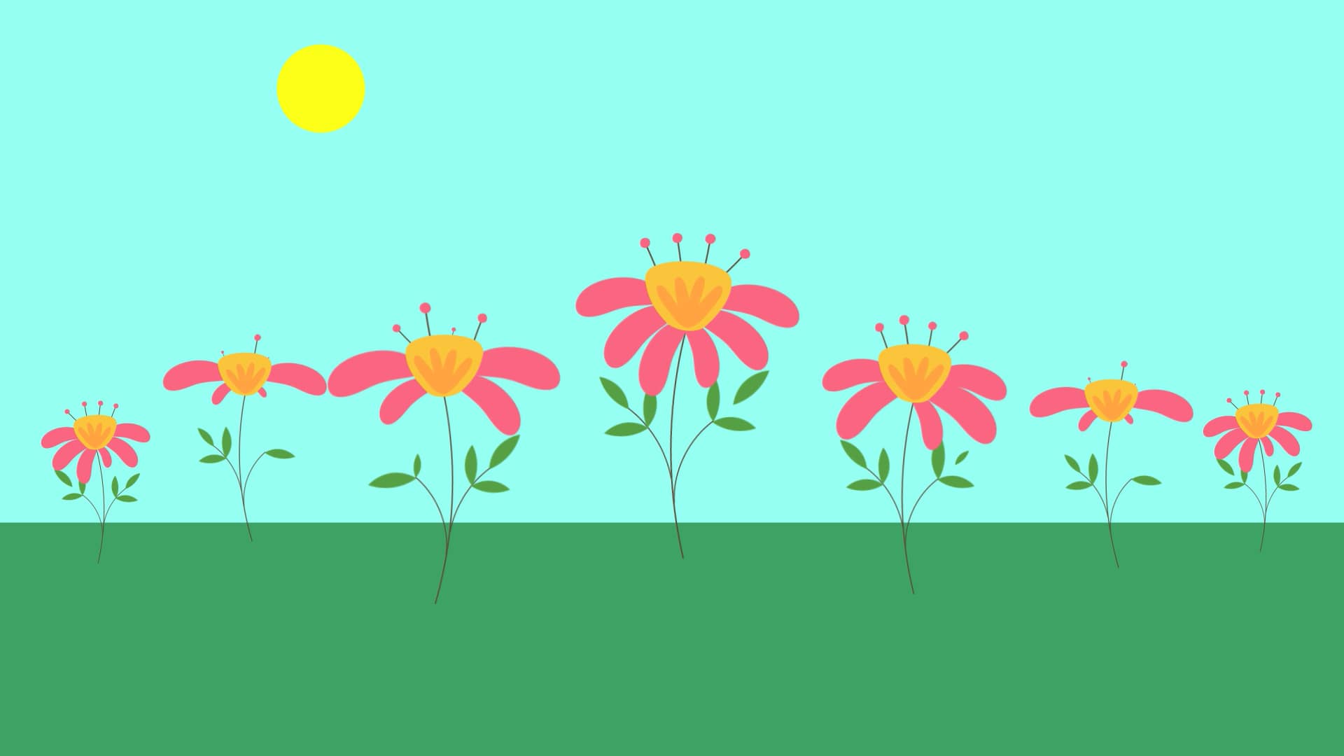 flower on Vimeo