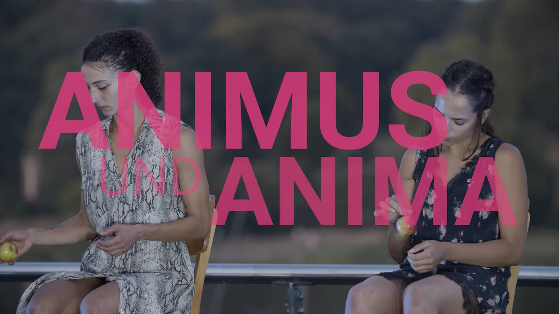 "ANIMUS UND ANIMA" TRAILER 2020 on Vimeo