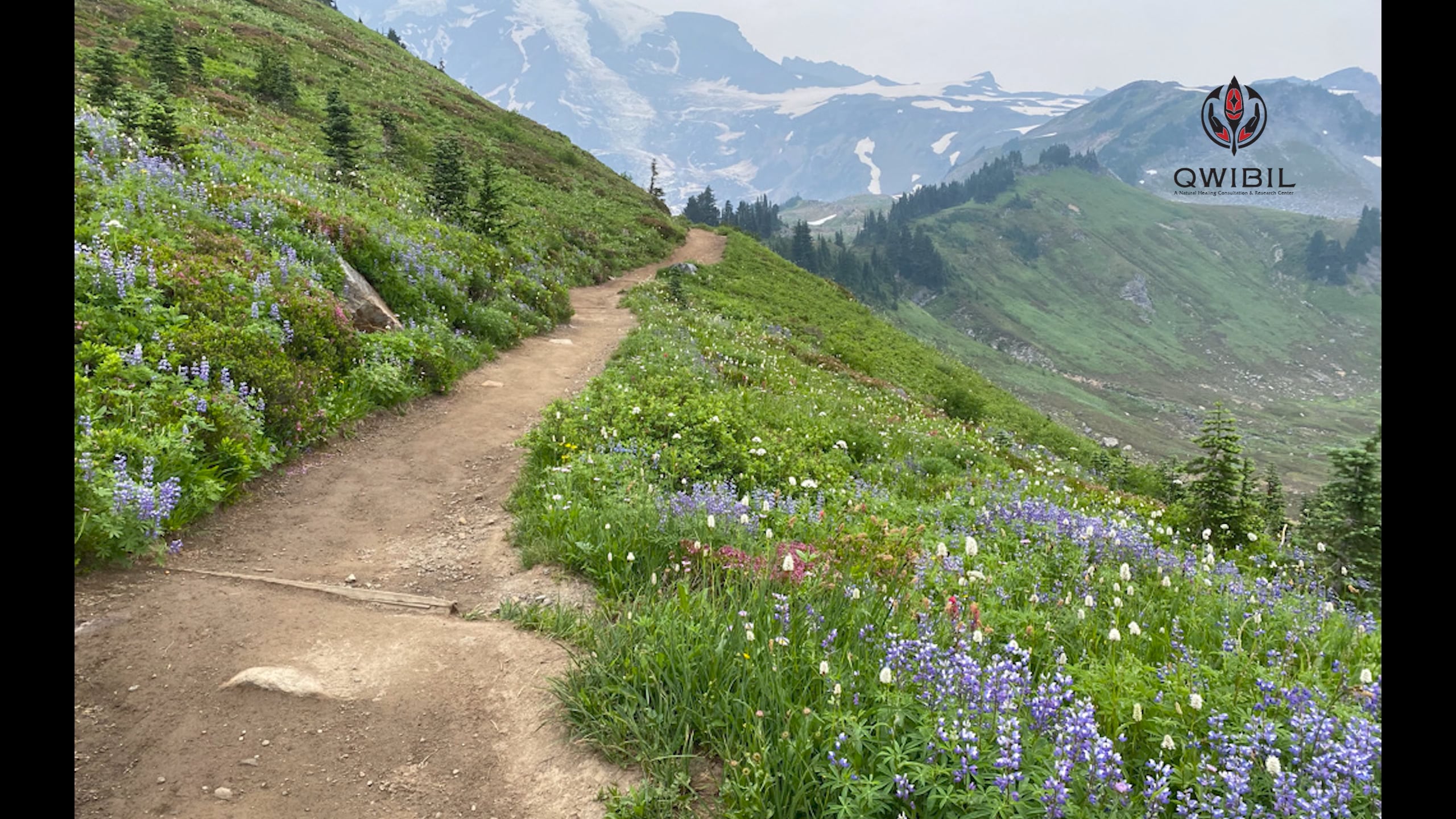 Welcome to Qwibil on Vimeo