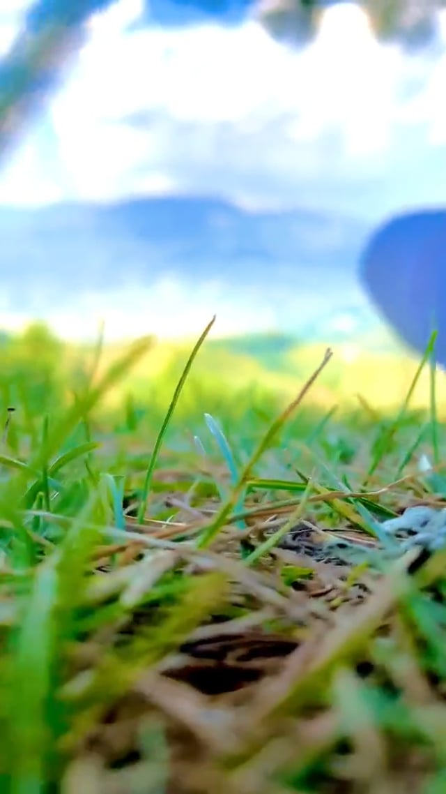 Phyllis Friedman on Vimeo