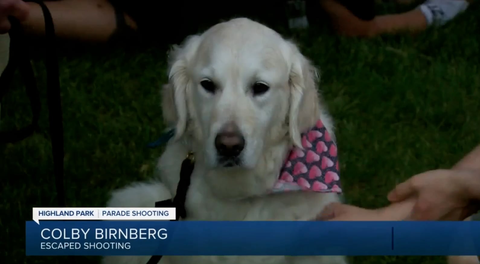 2022-07-06 TMJ4 NBC Milwaukee Highland Park Coverage on Vimeo