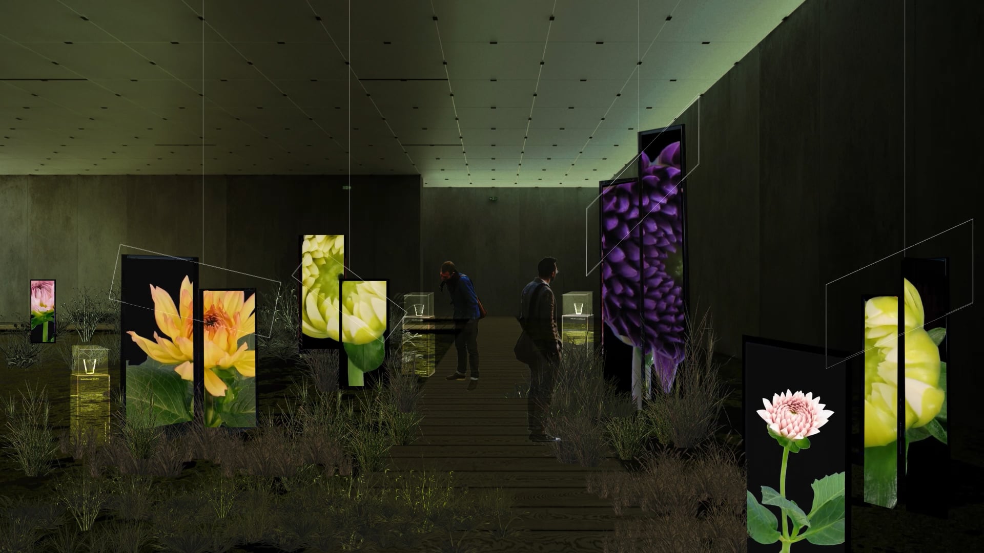 HANASHA - Exhibition on Vimeo