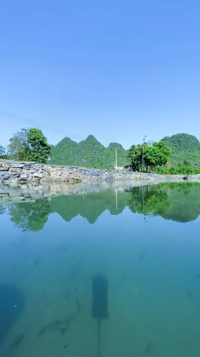 Millie-Rose Cunningham on Vimeo