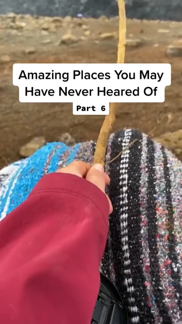 Millie-Rose Cunningham on Vimeo