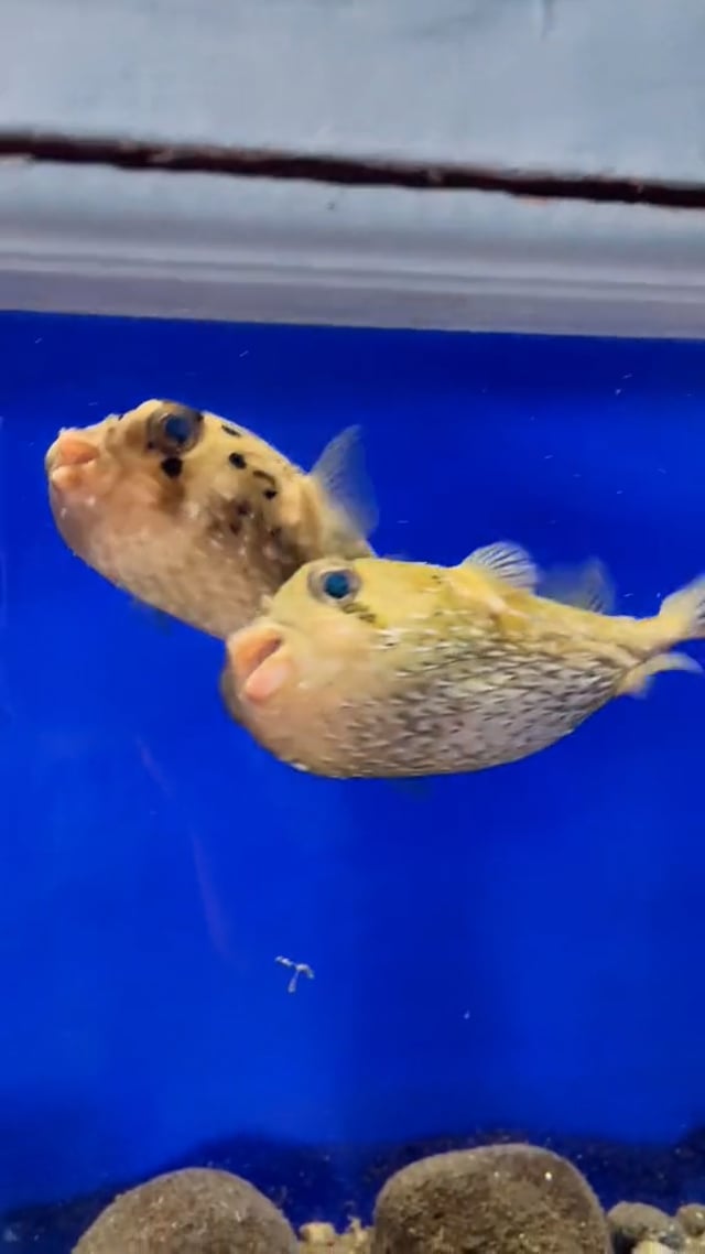 Darcie Cochran on Vimeo