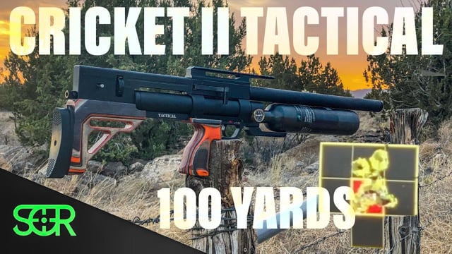 KalibrGun Cricket 2 Tactical REVIEW - .22 CALIBER with INSANE ACCURACY ...