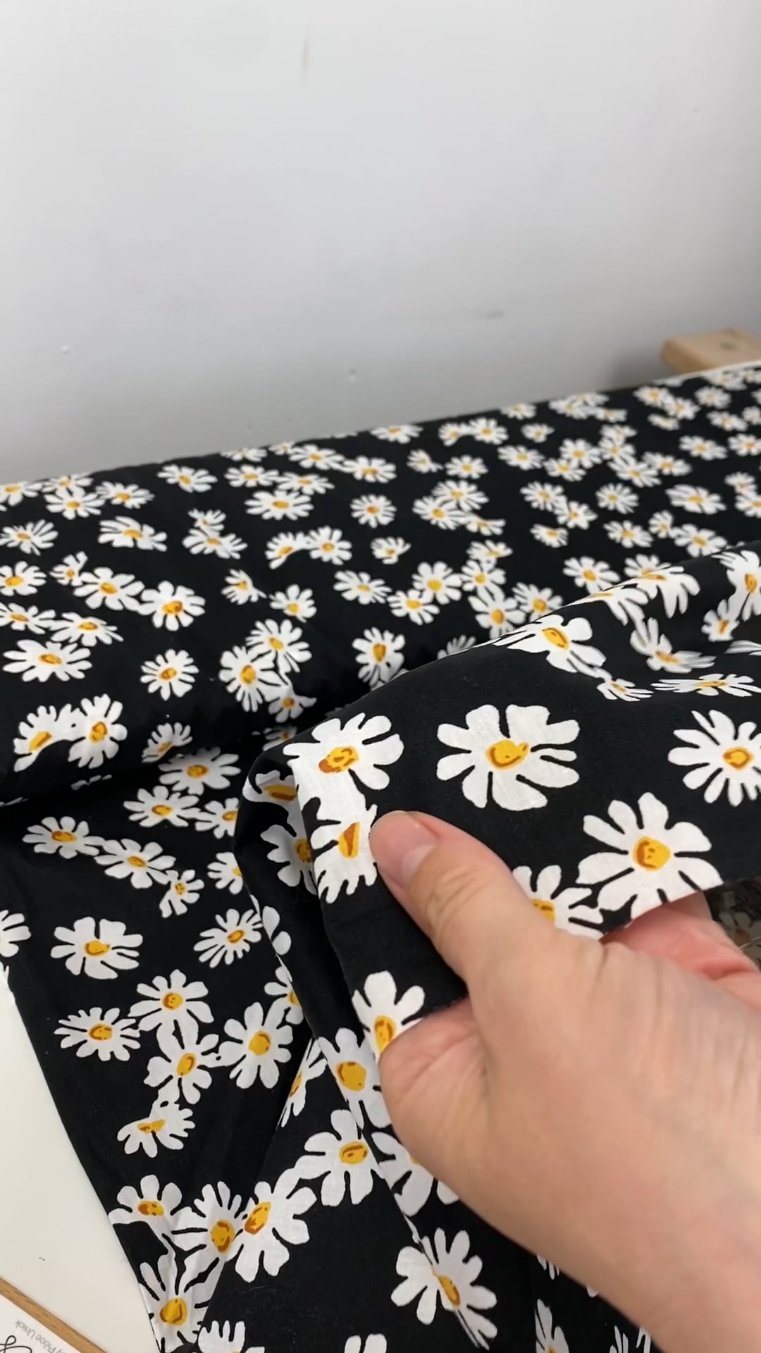 Daisy on Vimeo