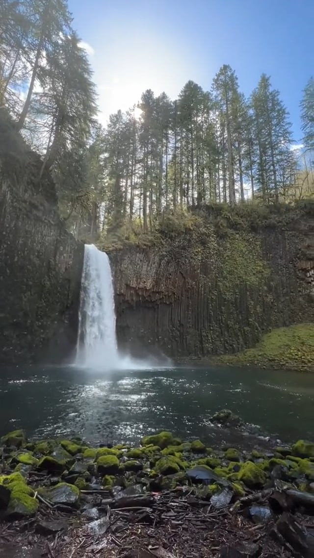 Phyllis Friedman on Vimeo