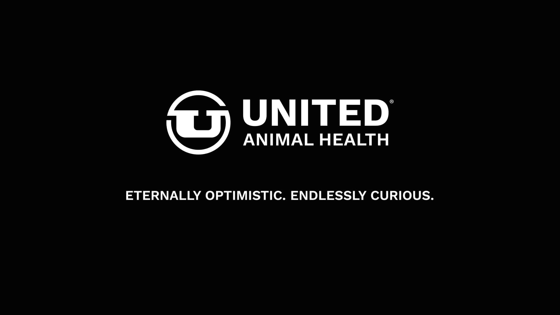 United Animal Health: Brand Essence on Vimeo