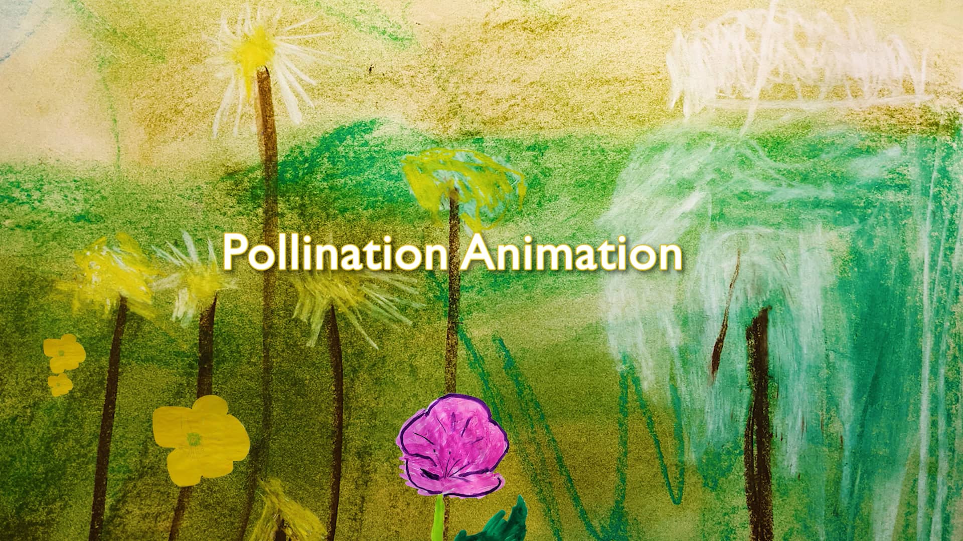 Pollination Animation on Vimeo