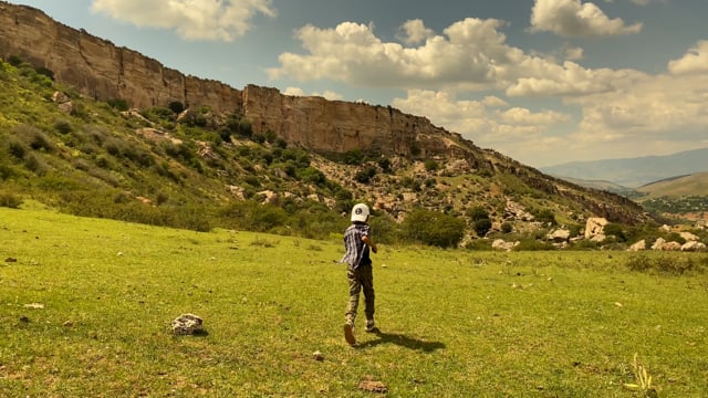 Boy Run Grass - Free video on Pixabay