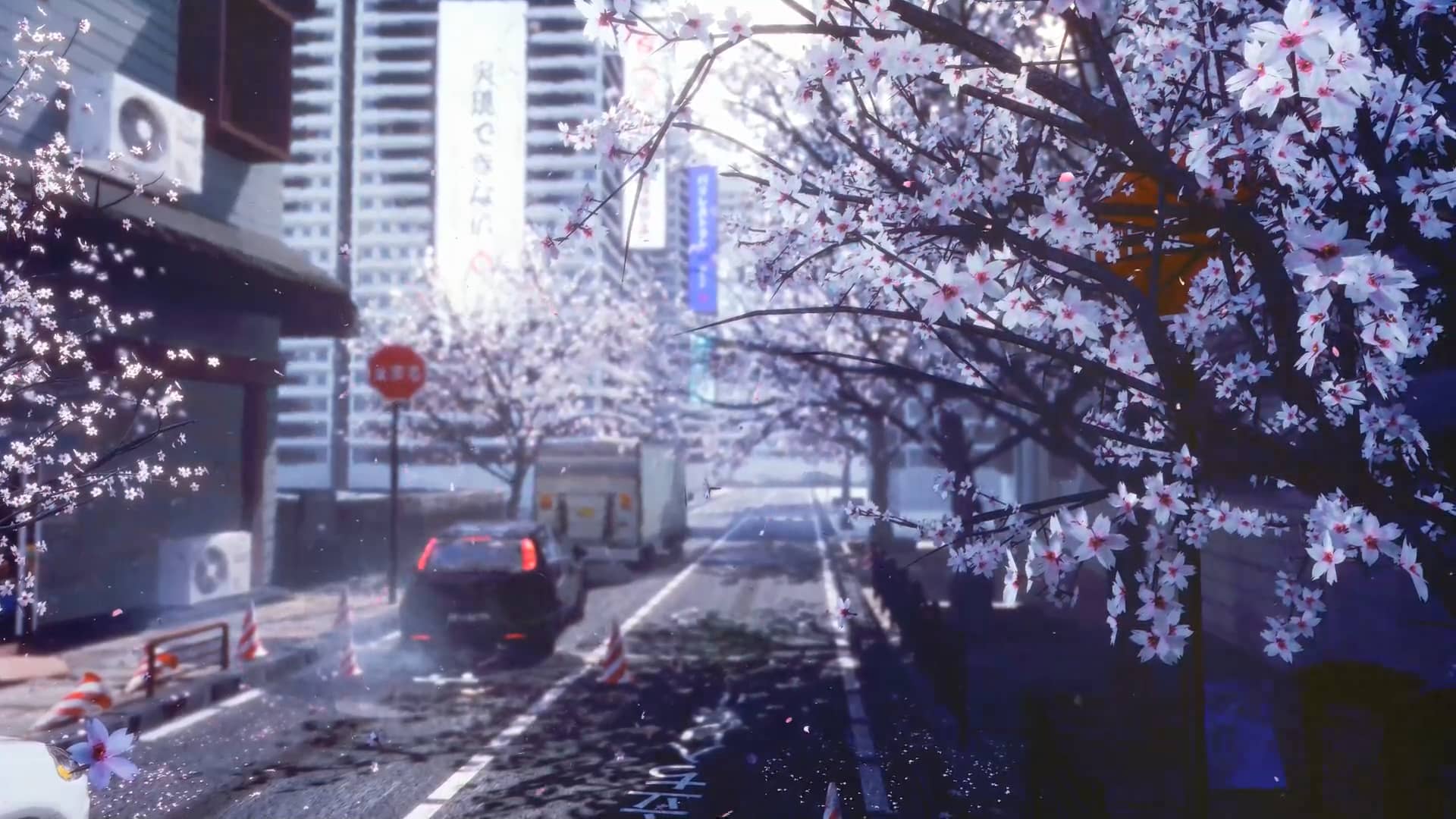 Город под вишневым деревом _ The City Under The Cherry Tree.mp4 on Vimeo