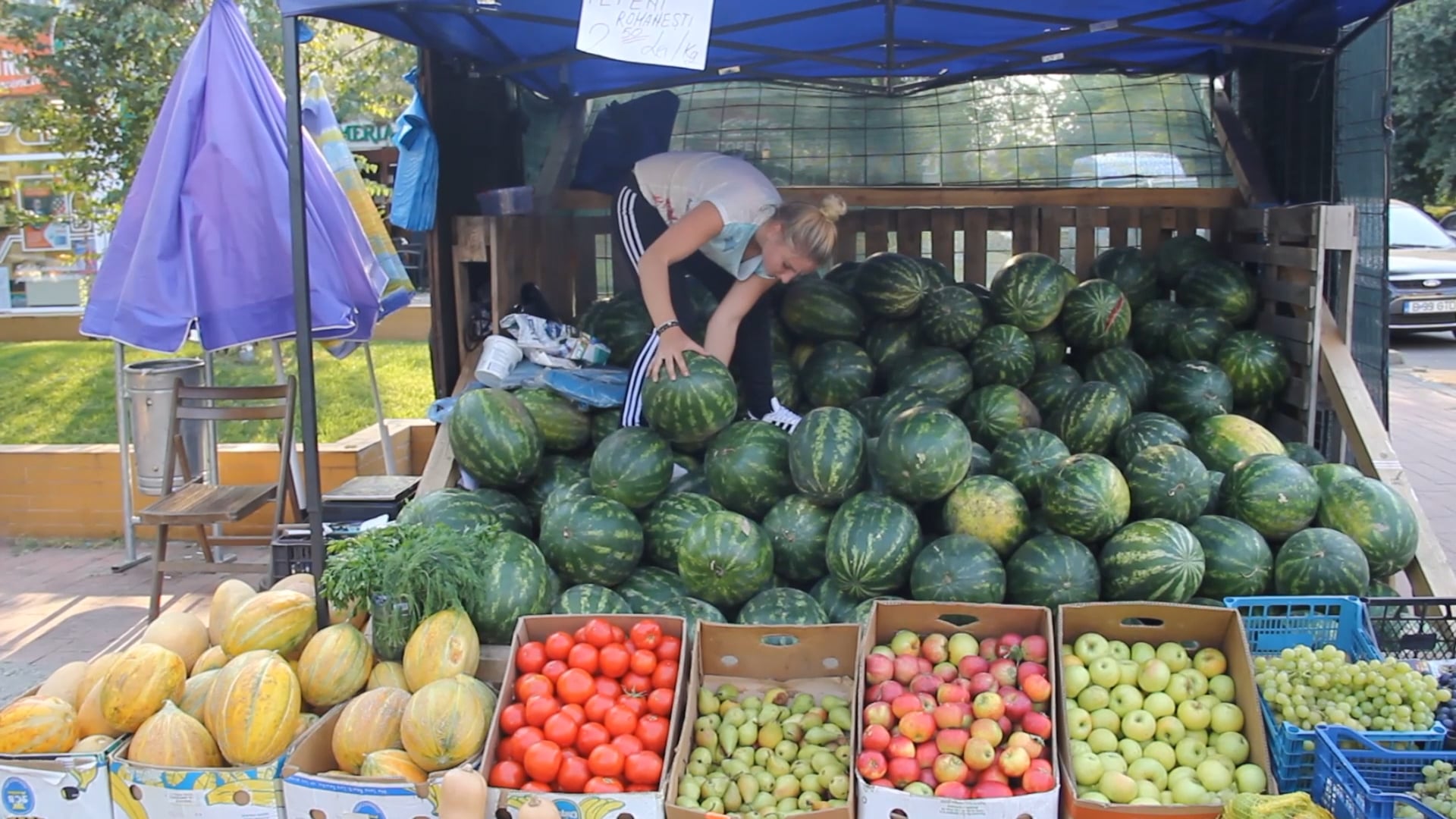 Alice Feraru, Watermelons, Bucharest 2021 on Vimeo