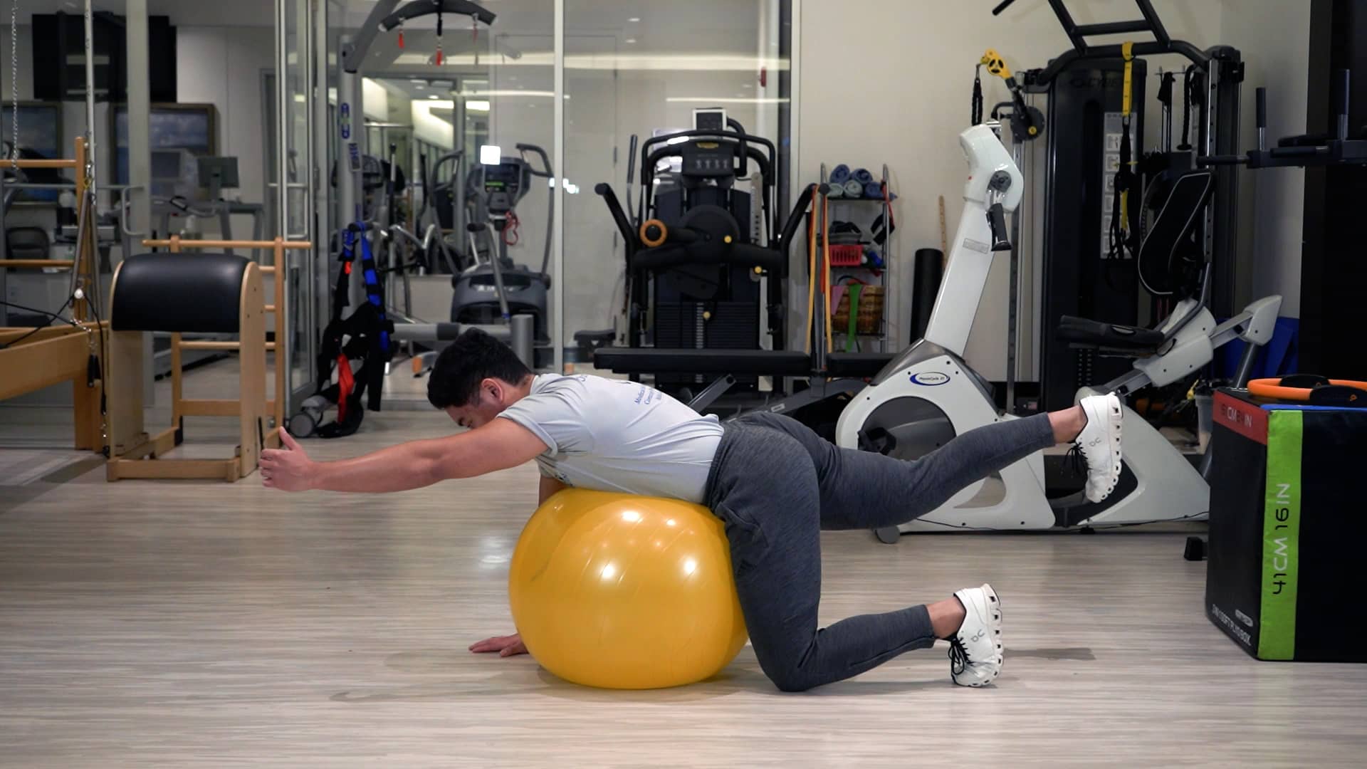 Bird Dog over Stability Ball - Instructional on Vimeo