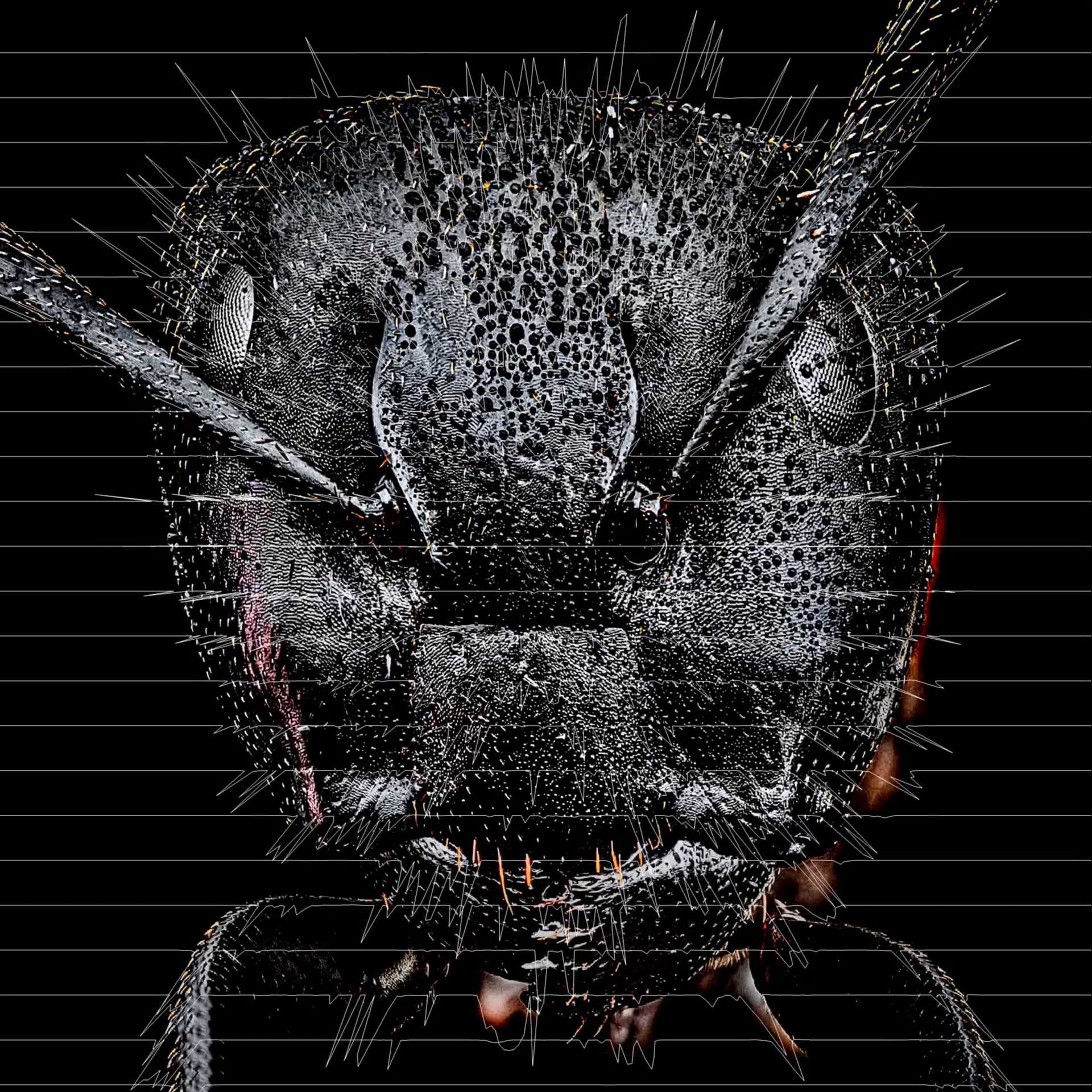 Galactic Alien Insect Warrior-02" - NFT Animation on Vimeo