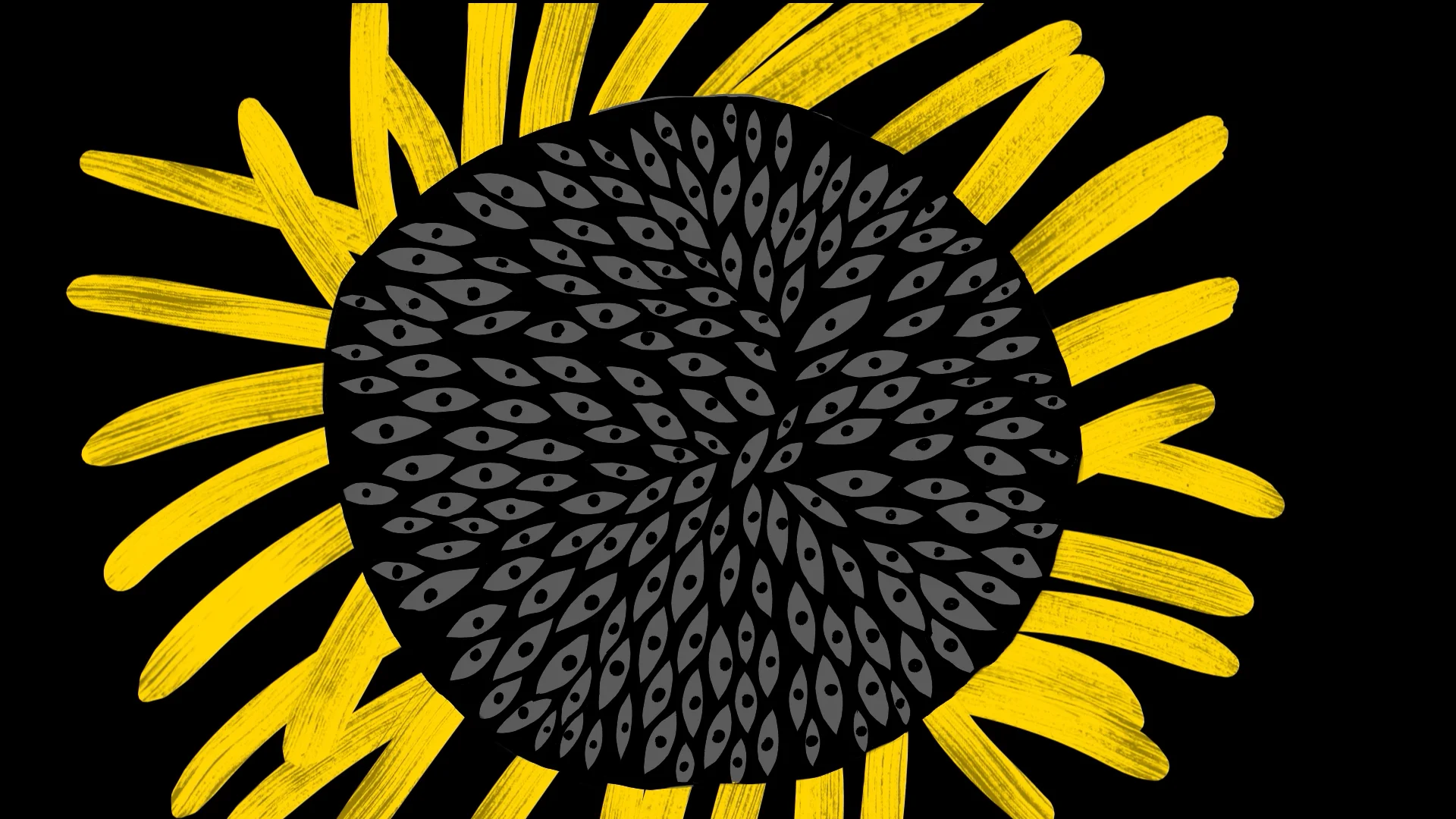 SUNFLOWER on Vimeo