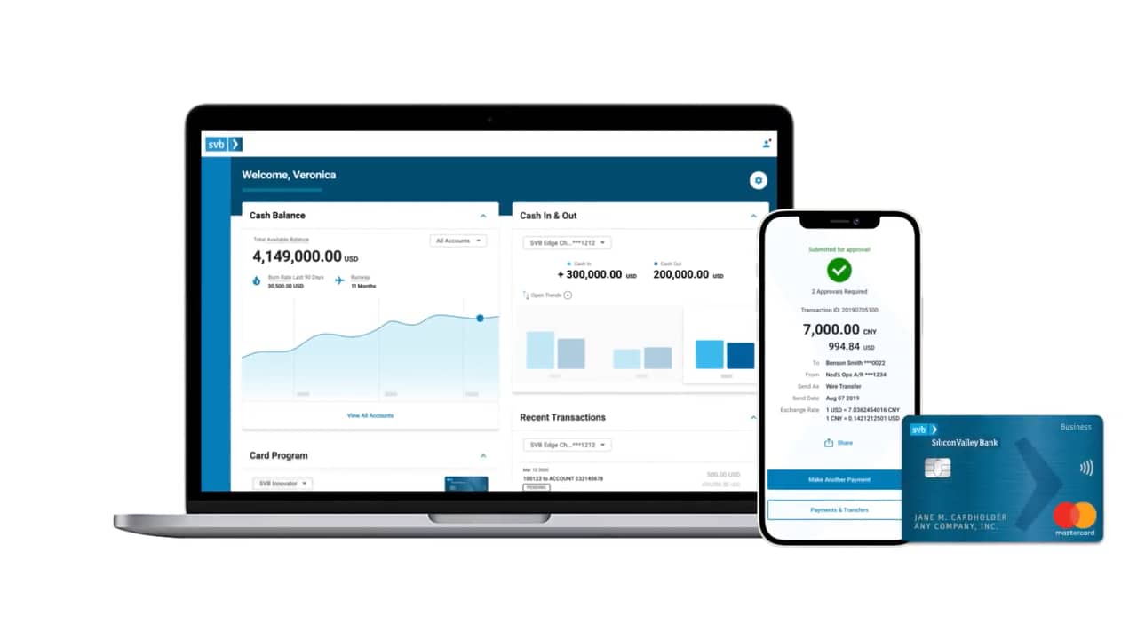 SVB Go overview.mp4 on Vimeo