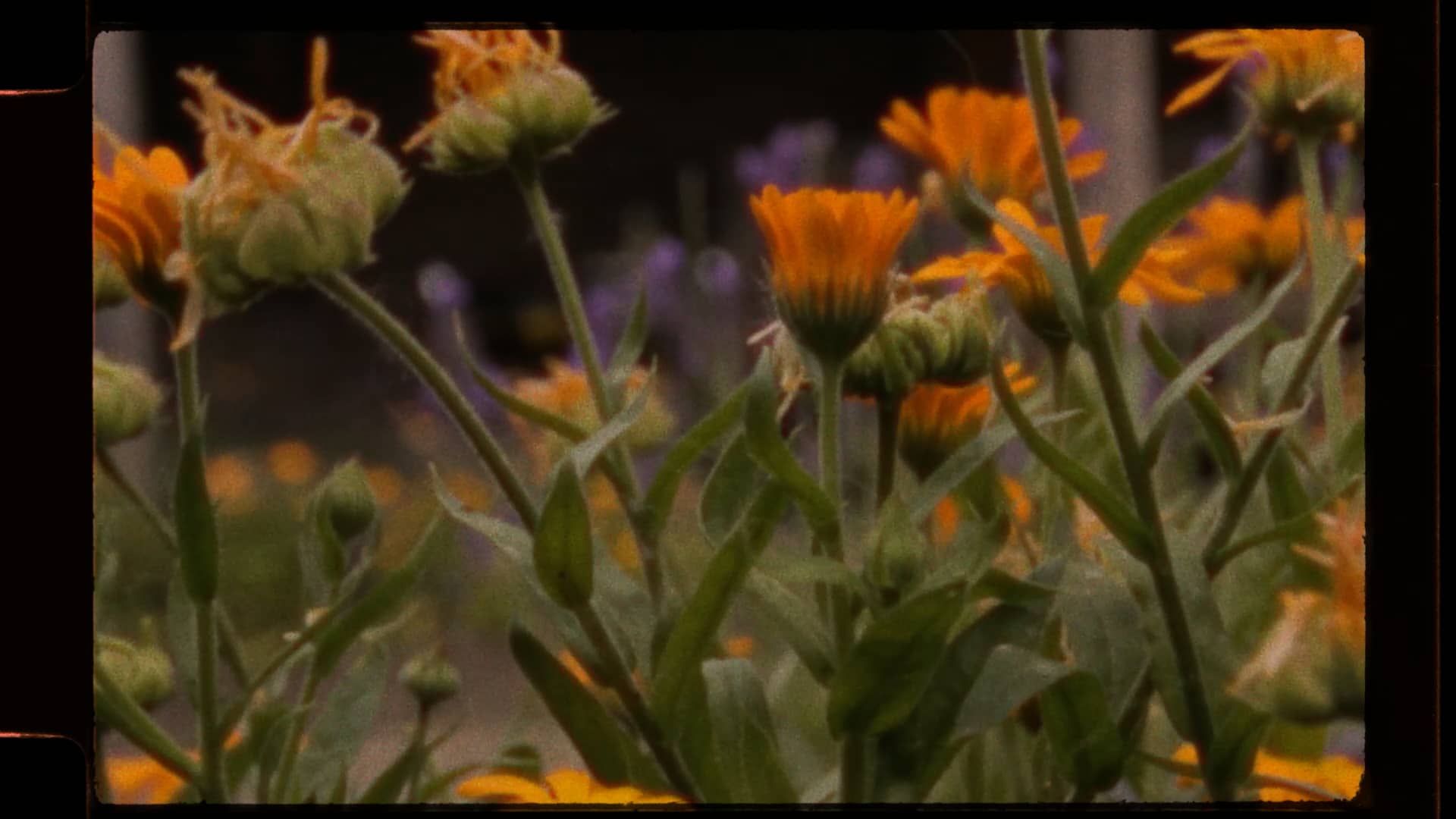 Vintage video test on Vimeo