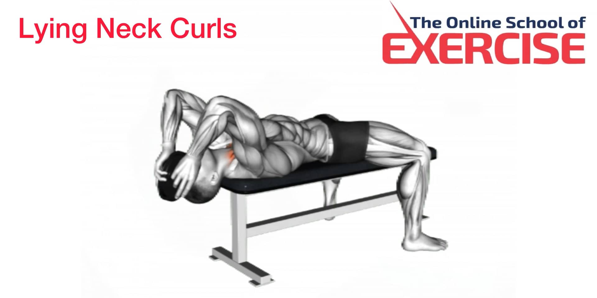 Lying Neck Curls on Vimeo