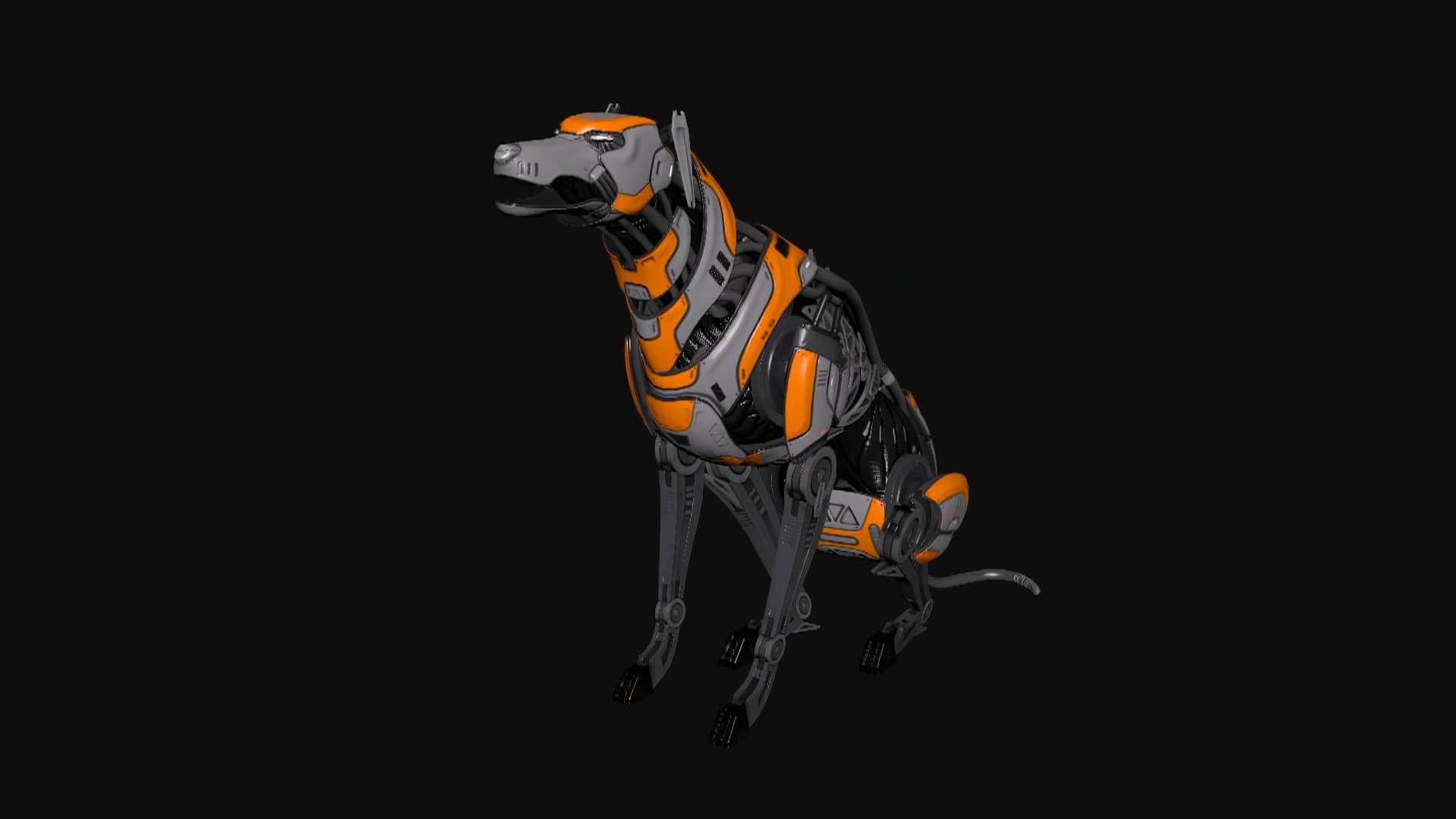 Greyhound Animation.mp4 on Vimeo