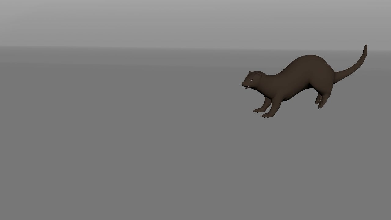 Ferret Animation on Vimeo