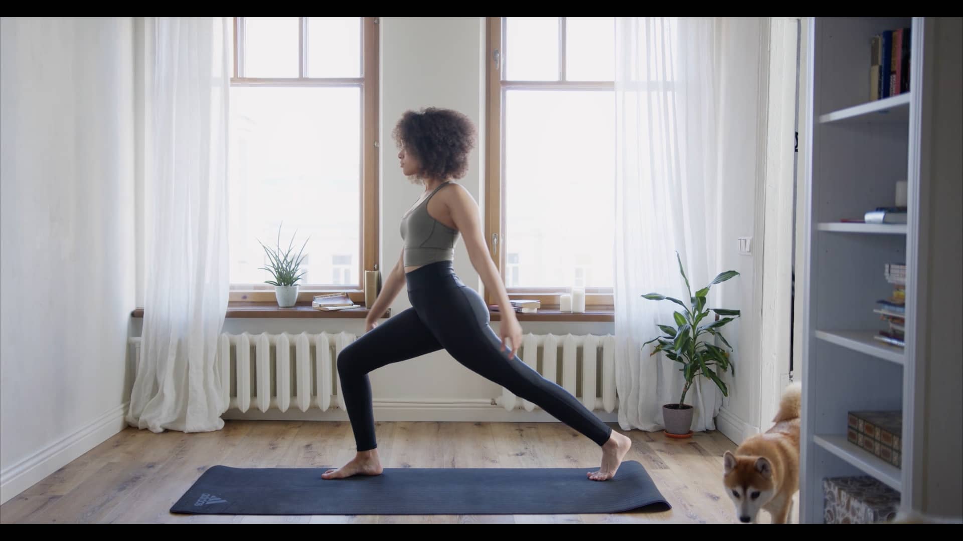 Alexander Brazier Roto Showreel 2022 on Vimeo