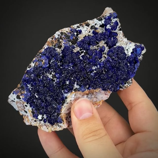 Azurite on Quartz (Peter Megaw) | Sierra Rica, Manuel Benavides Mun ...