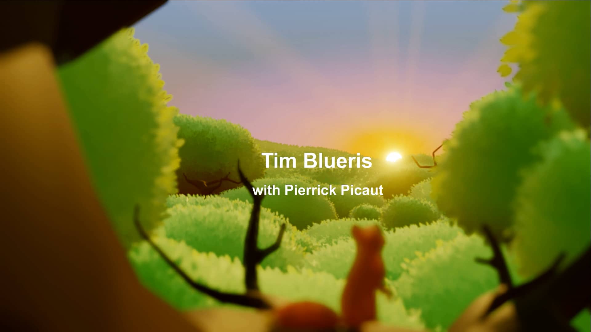 Summer forest.mp4 on Vimeo