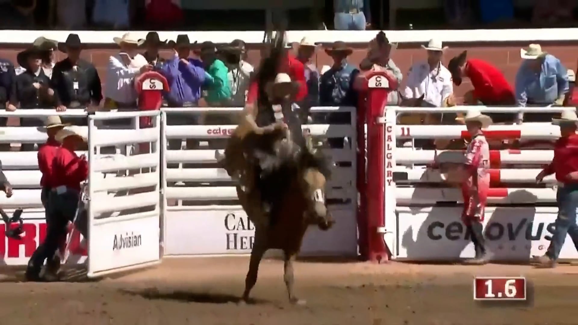 Dawson Hay | 2022 Calgary Stampede on Vimeo