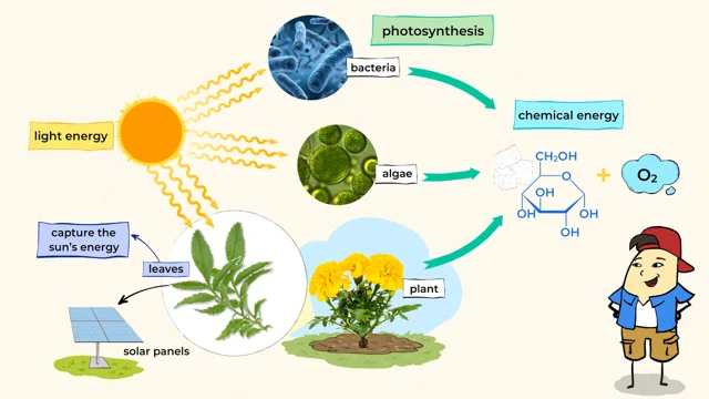 Cellular Respiration And Photosynthesis Chemical Cycling