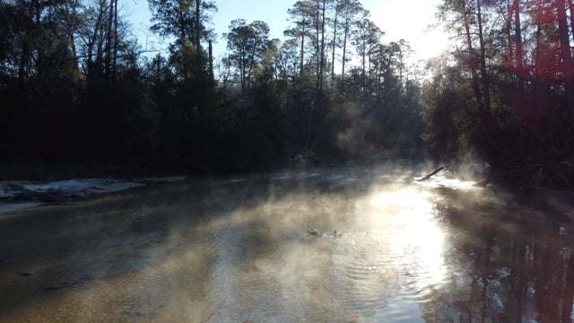 Fog, River, Florida. Free Stock Video - Pixabay