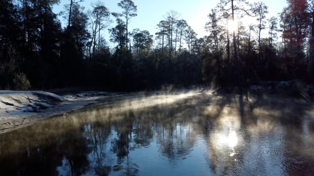 Fog, River, Florida. Free Stock Video - Pixabay