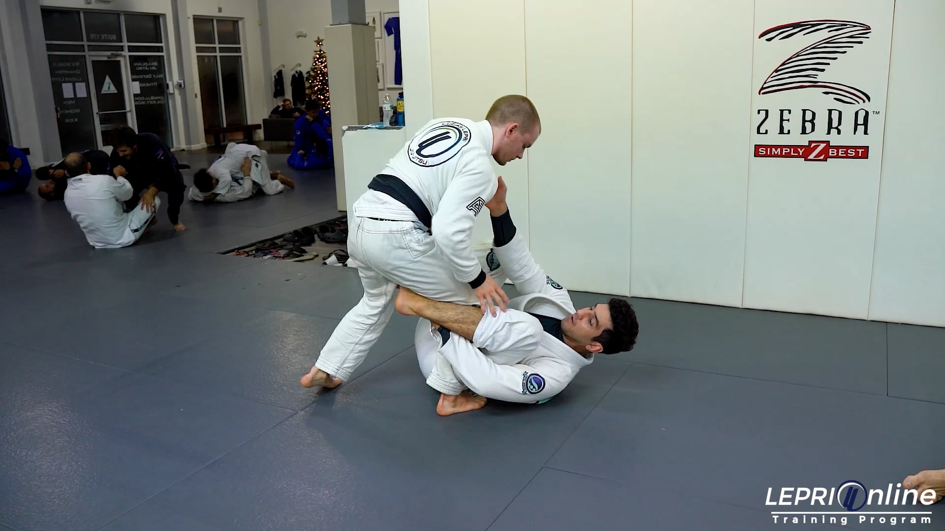 Lepri BJJ Online Training: Dean & Lucas Sparring Session