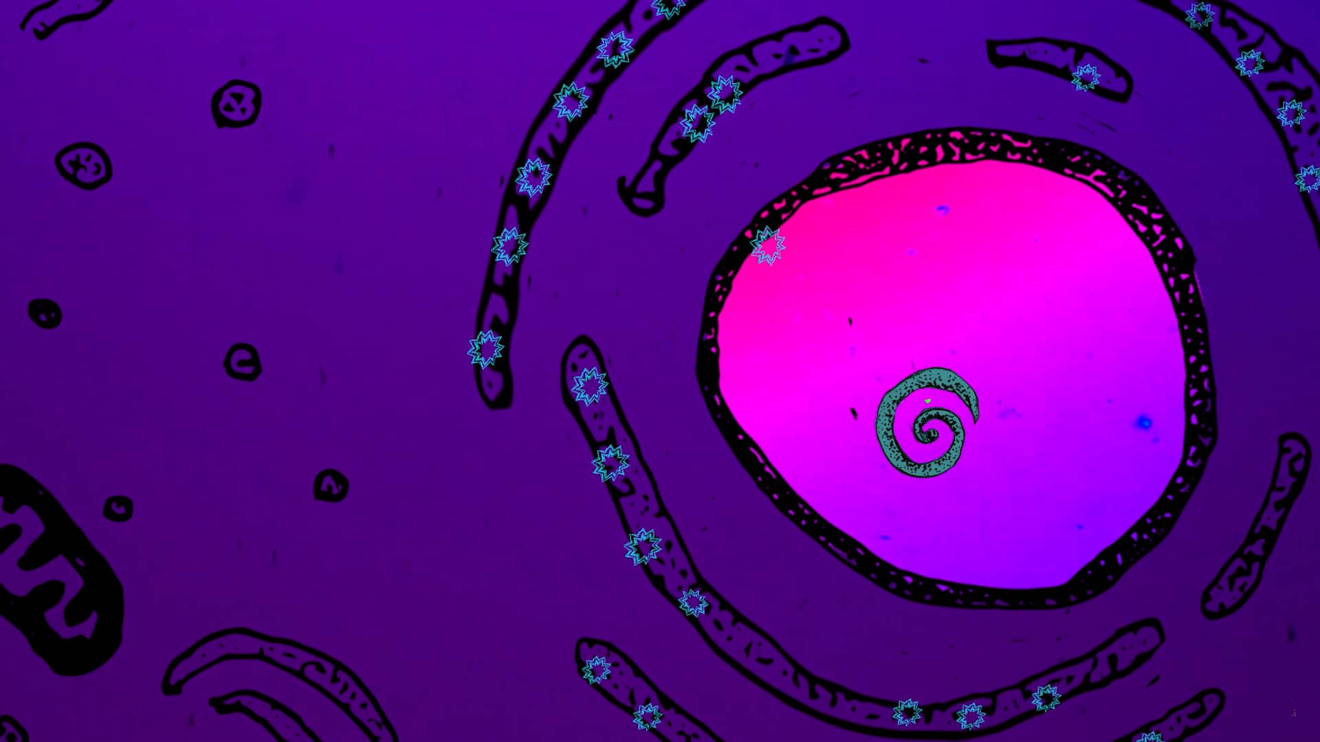 Cellular Vessel on Vimeo
