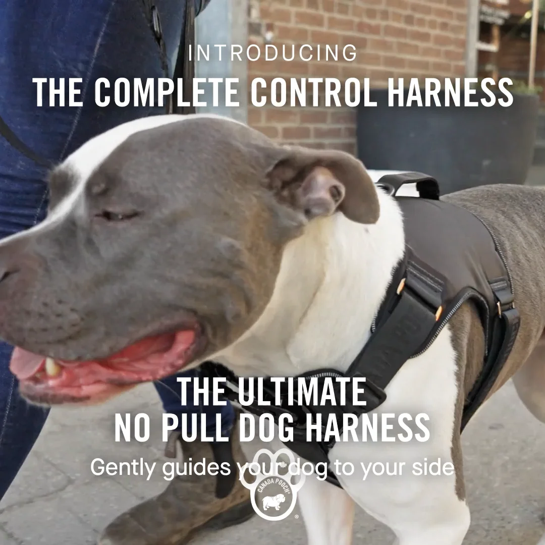 V4_Complete Control Harness_Sizzle Reel Story Video (1) on Vimeo