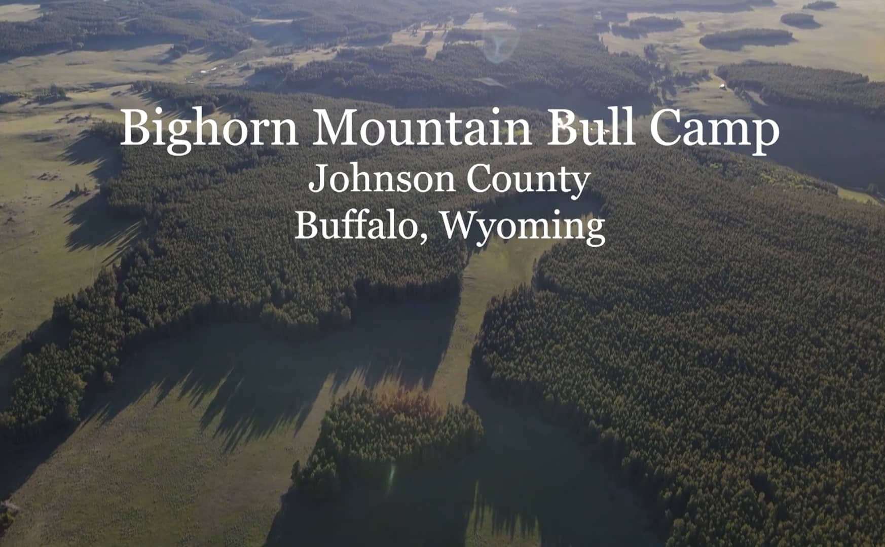 BIGHORN MOUNTAIN BULL CAMP on Vimeo