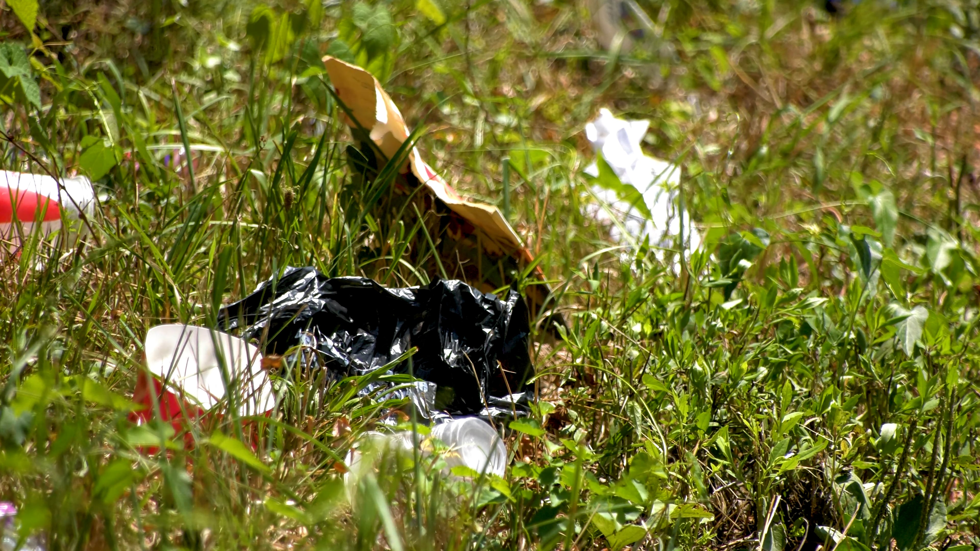 Litter PSA Video.mp4 on Vimeo